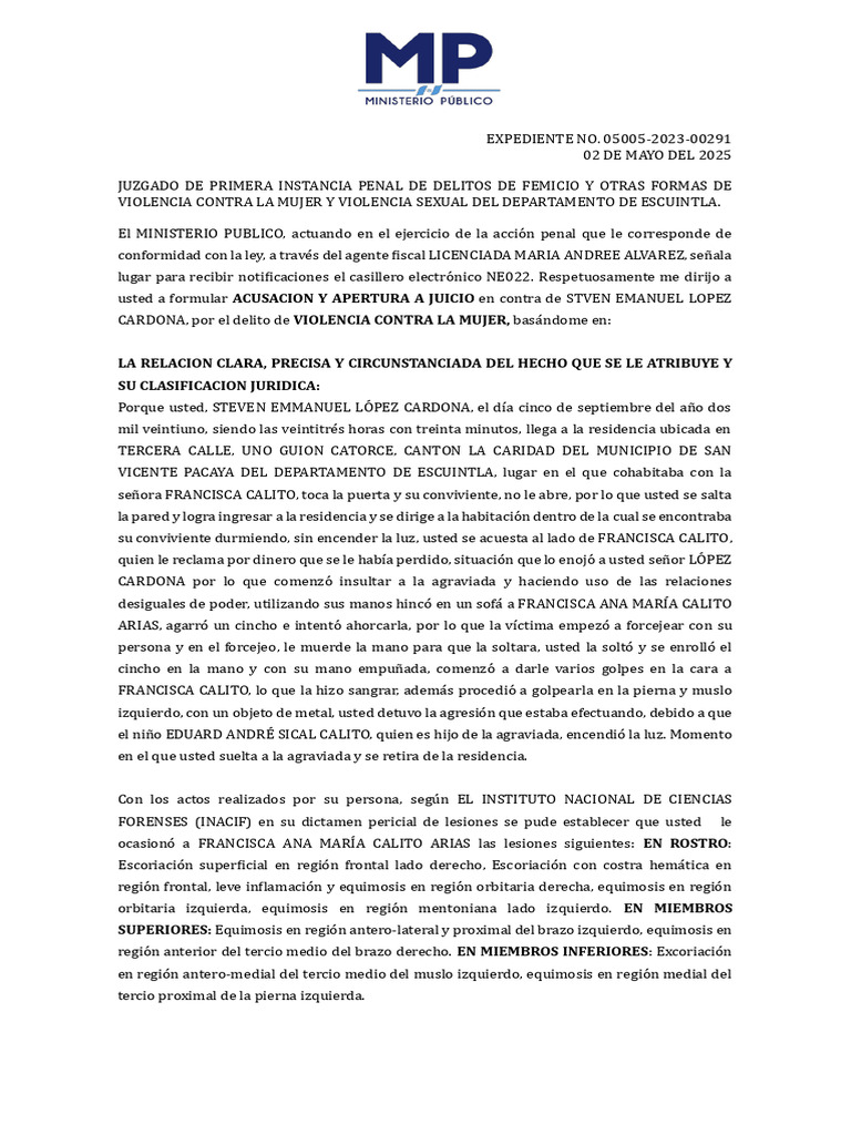 Imputacion MP Ok1 | PDF | Violencia de género | Ley Pública