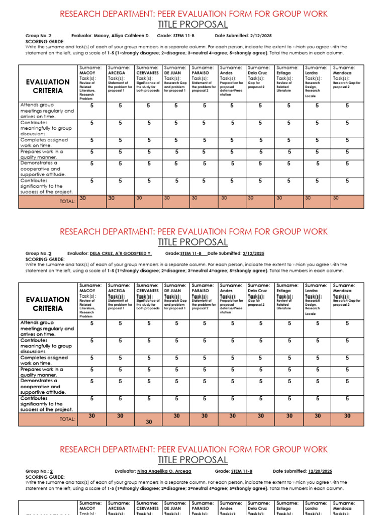 Peer Evaluation Form for Group Work | PDF