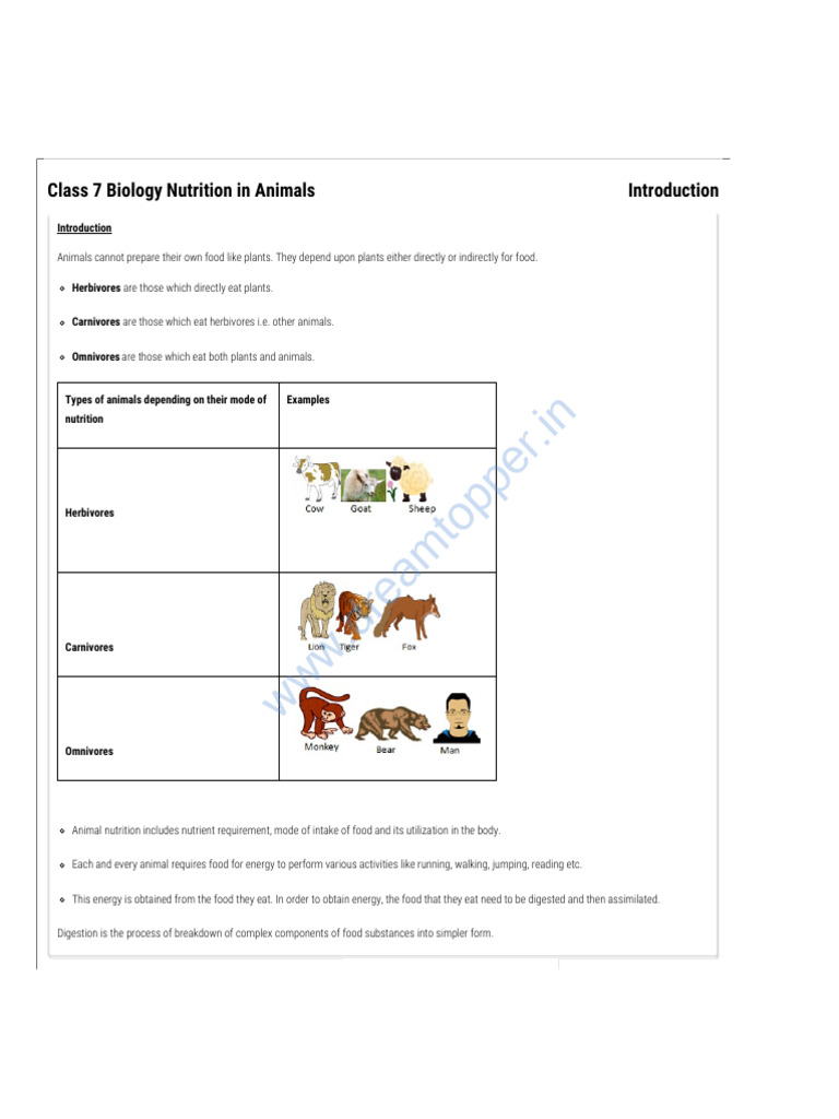 Nutrition in Animals 7th Biology Notes | PDF | Digestion | Small Intestine