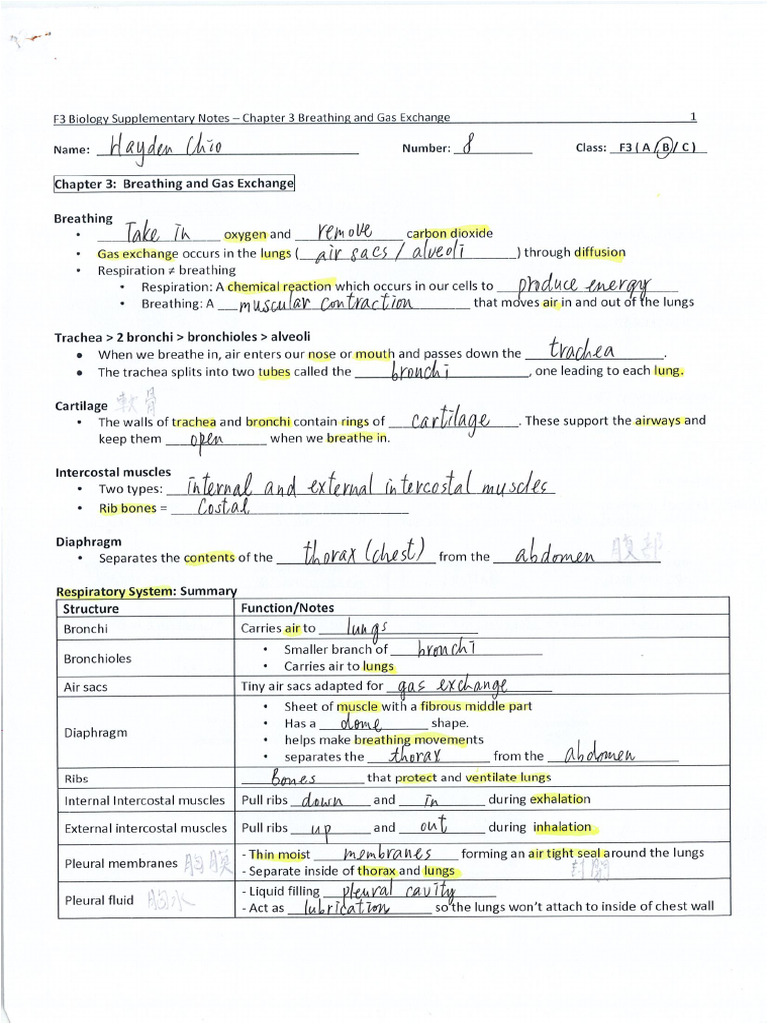 F3 Bio Notes CH 3 Respiration 3 | PDF