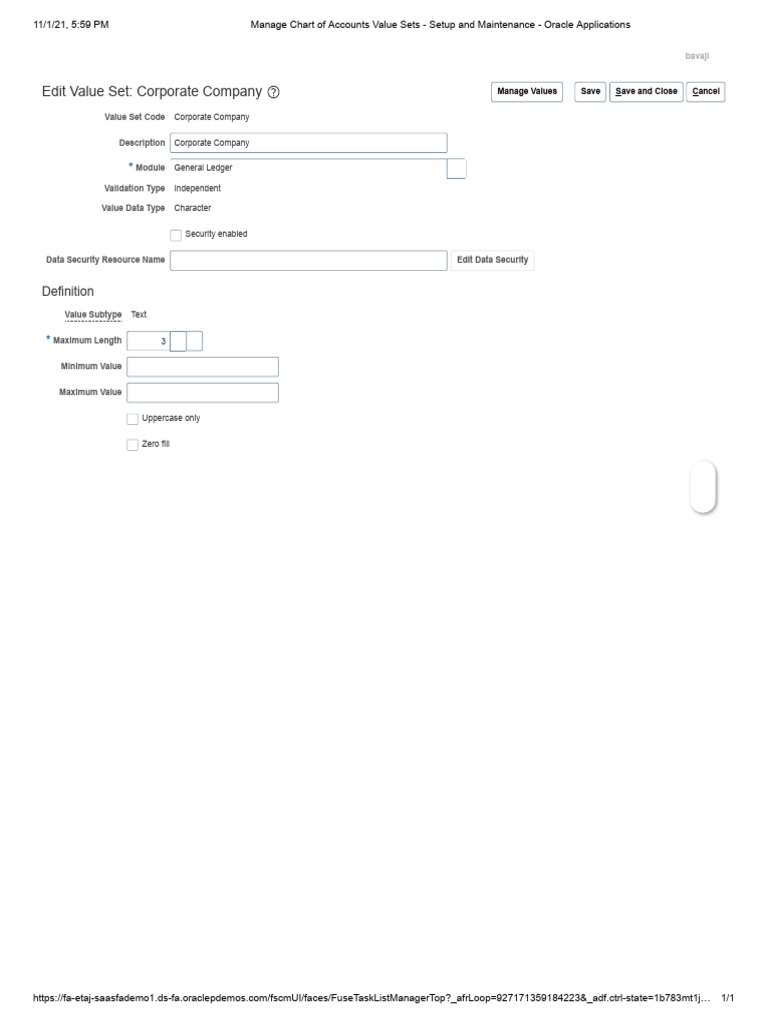 Manage Chart of Accounts Value Sets - Corporate Company | PDF