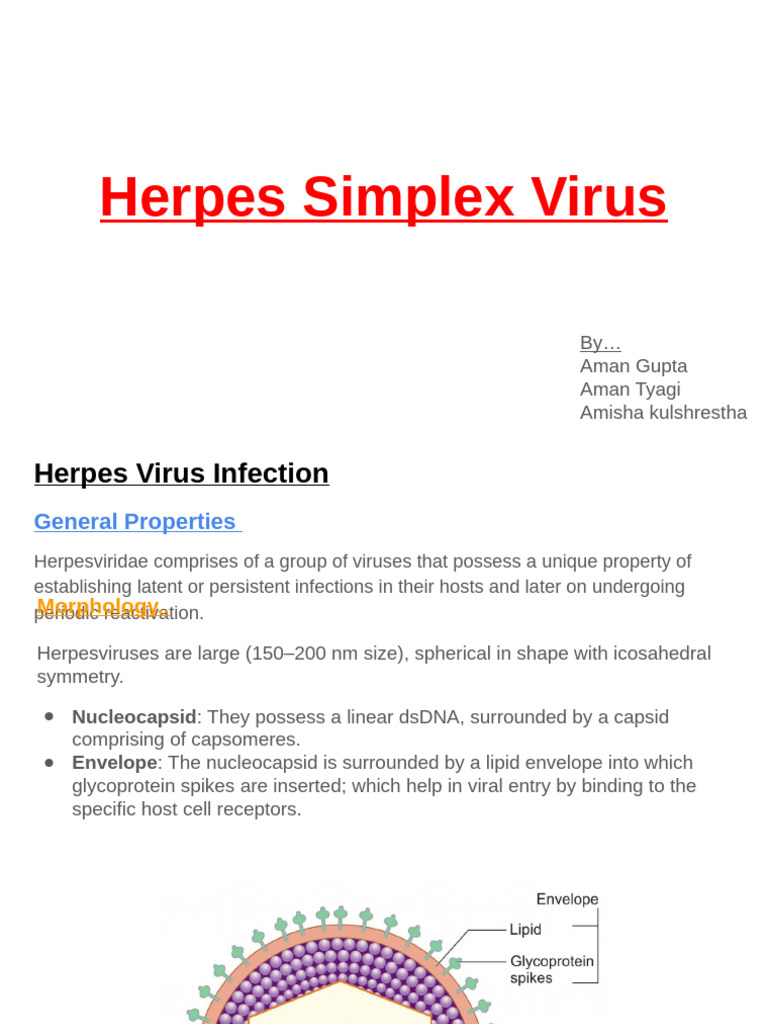 Herpes Simplex Virus Overview and Pathogenesis | PDF | Virus | Tree Of ...