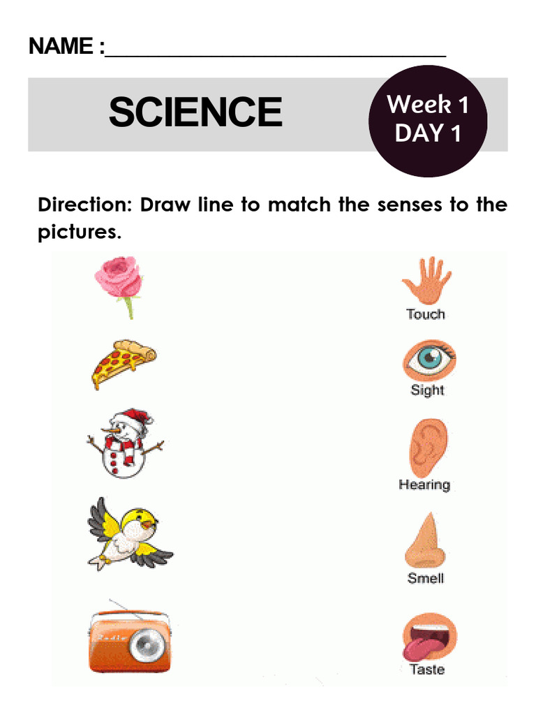 Science Senses Activities for Kids | PDF