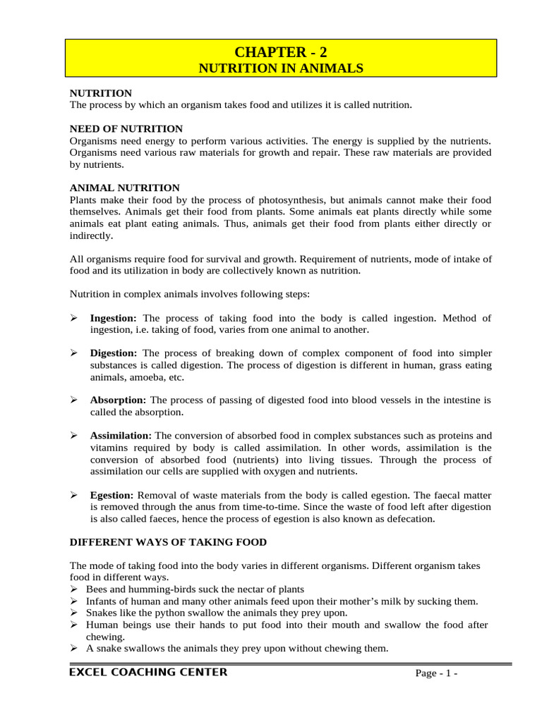 Science Class VII Chapter 02 Study Material | PDF | Digestion | Human ...