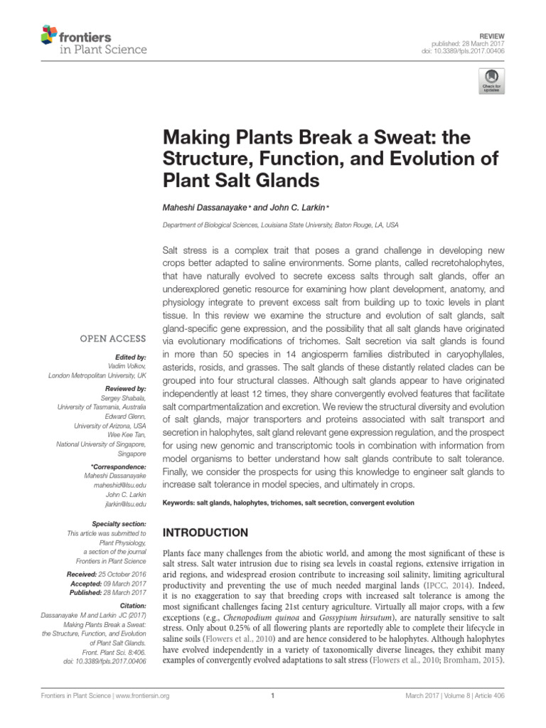 Making Plants Break A Sweat The Structure Function | PDF | Leaf | Plants