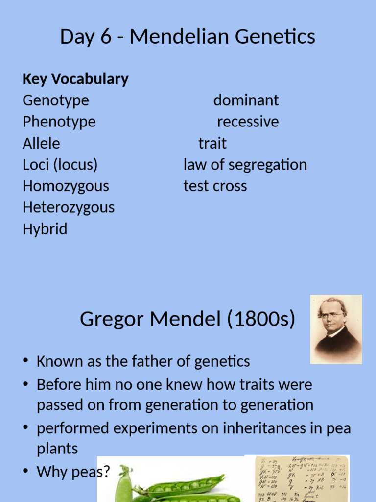 Tutorial 6 - Monohybrid & Dihybrid Crosses | PDF | Dominance (Genetics ...