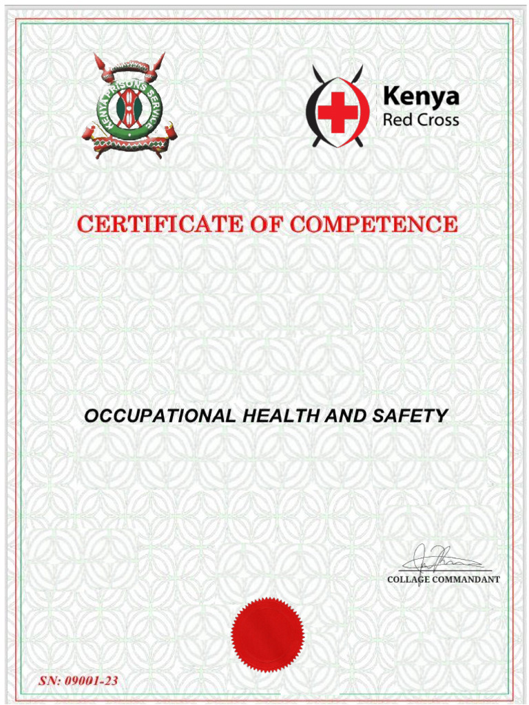 Training Completion Certificate: Ruiru 2019 | PDF