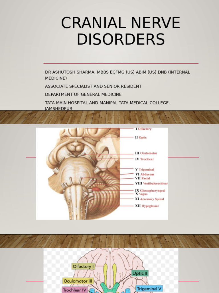 Cranial Nerve Disorders | PDF | Brainstem | Human Head And Neck