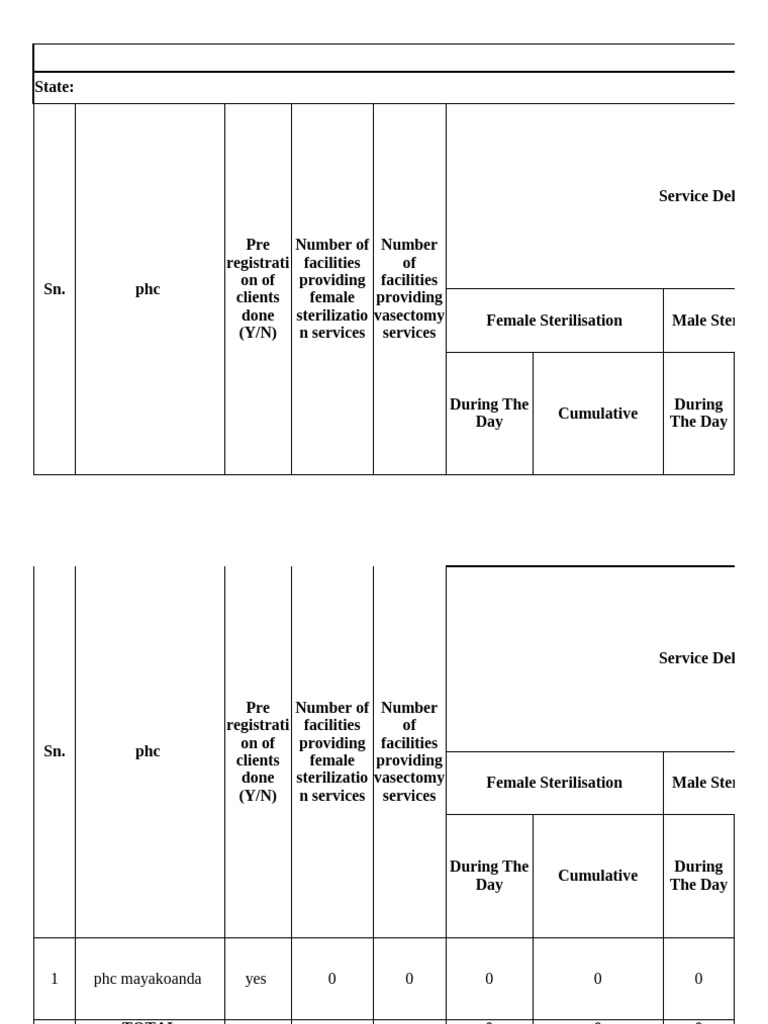 WPD 2025 Daily Reporting Format | PDF | Reproductive Rights | Urology