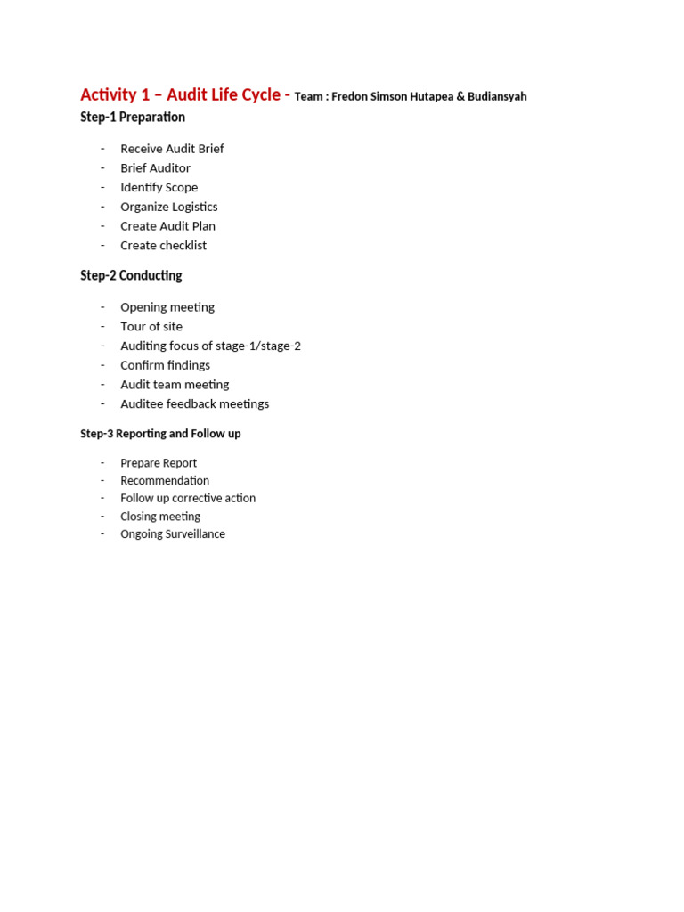 Activity 7 - Audit Life Cycle | PDF