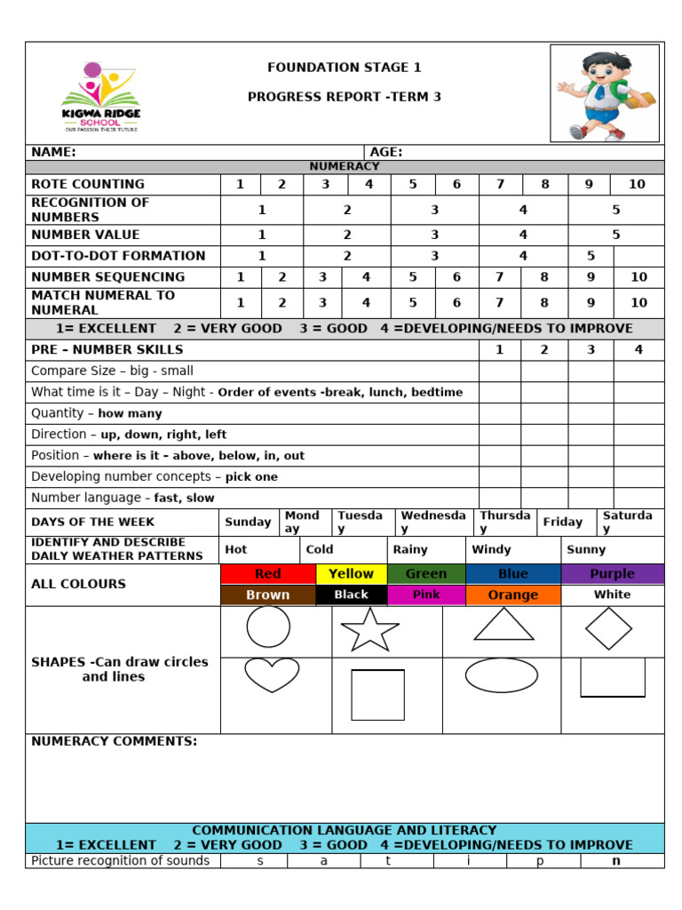 Fs1 Term III Progress Report | PDF