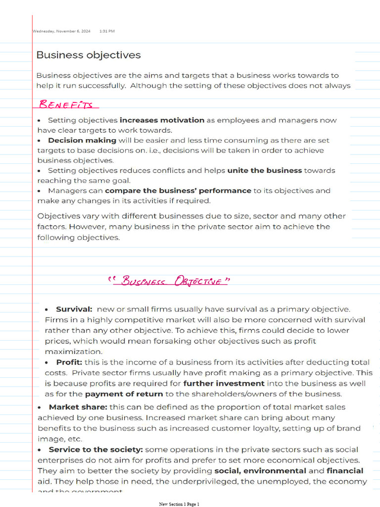 Business Stakeholder Objectives | PDF