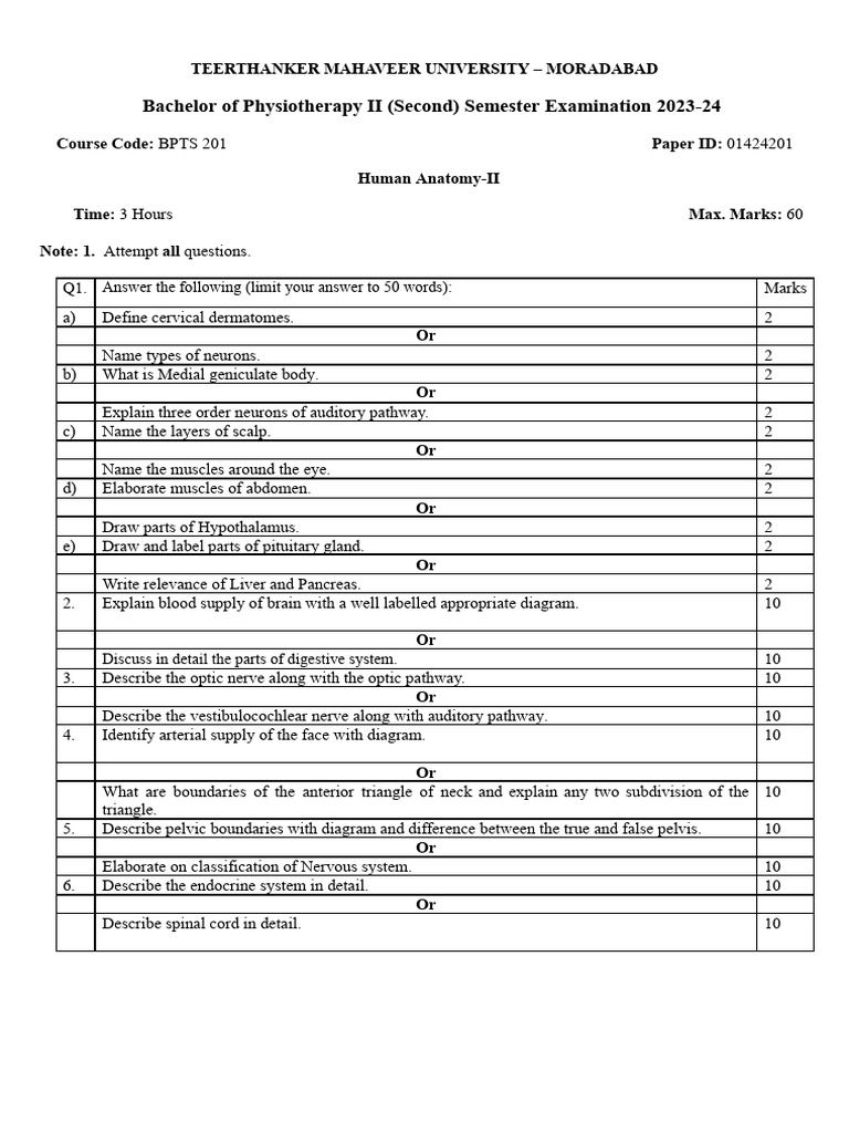 Human Anatomy II Exam Questions 2023-24 | PDF | Neck | Neuroscience