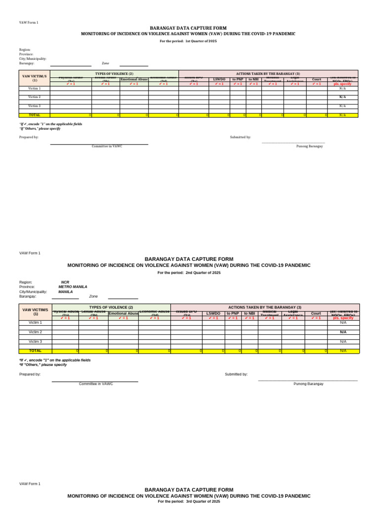 VAW Monitoring Form for COVID-19 | PDF | Violence | Violence Against Women
