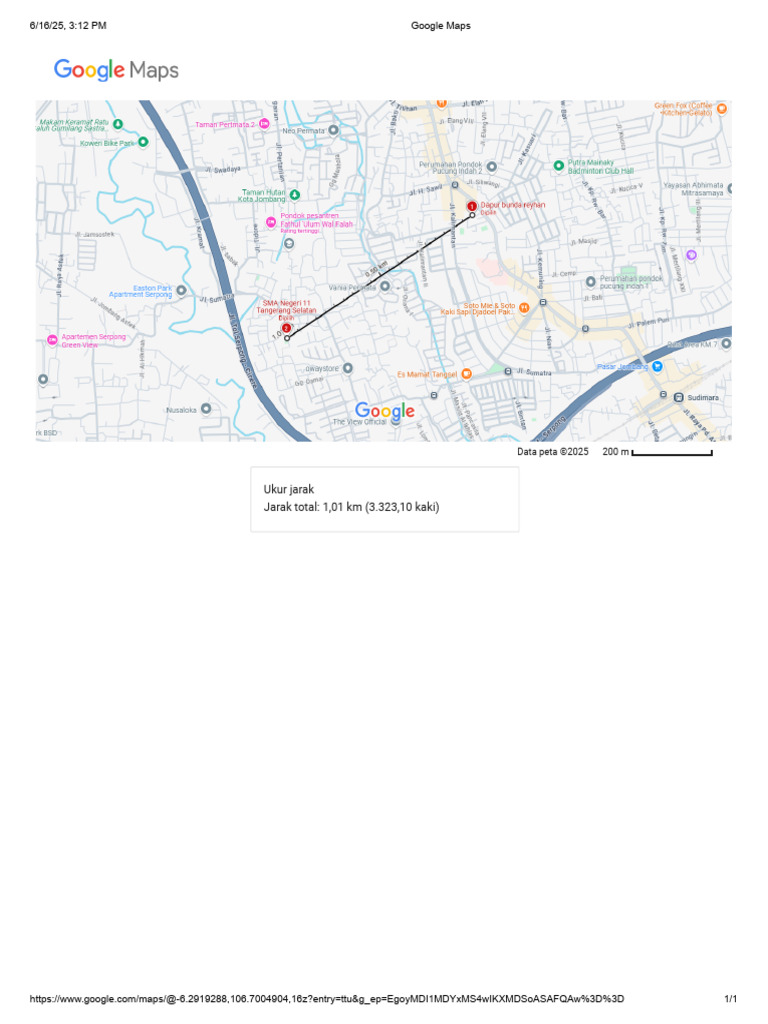 Google Maps | PDF