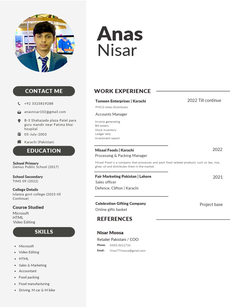 Professional CV Resume | PDF