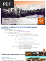 Phylum and Class Examples Chart Ncert | PDF | Zoology