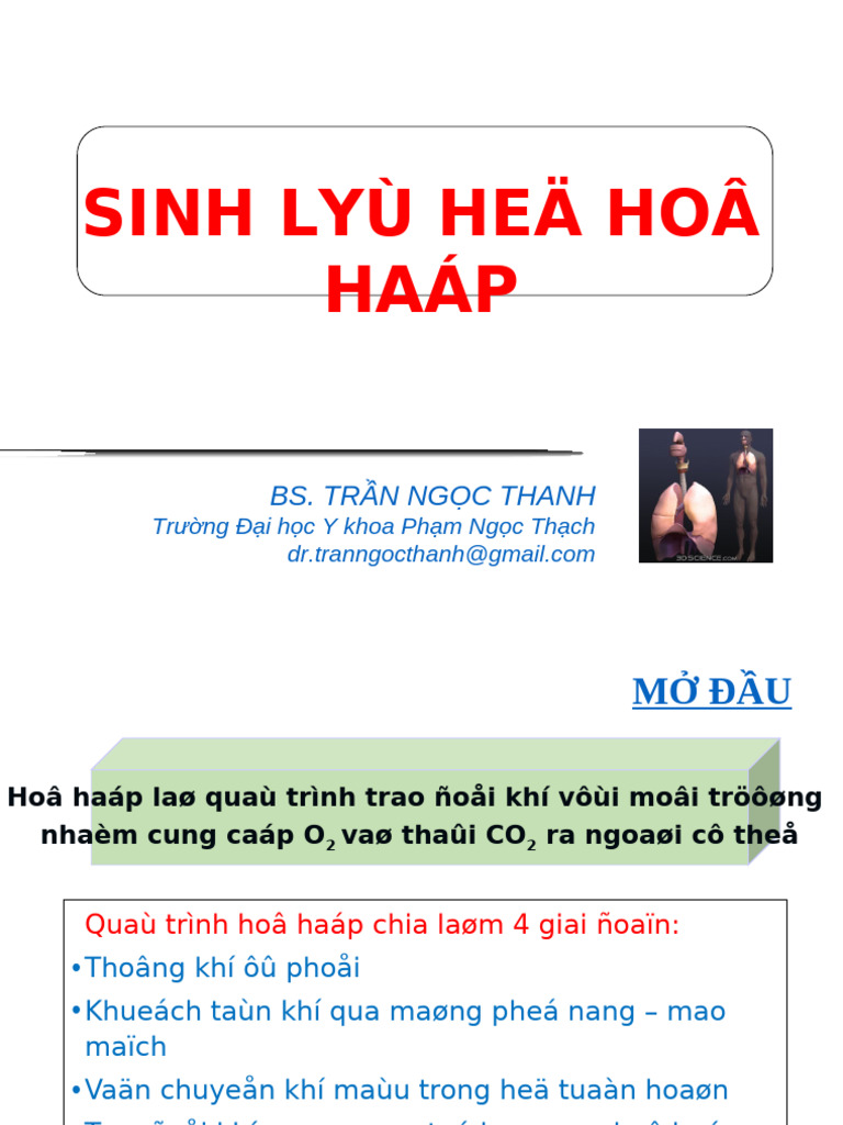 Sinh Ly He Ho Hap (Y2 D2 RHM2 4 Tiet) | PDF