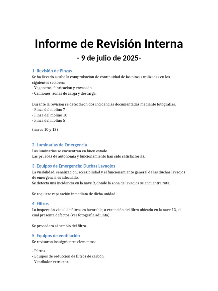 Informe Revisión Interna 9jul2025 | PDF
