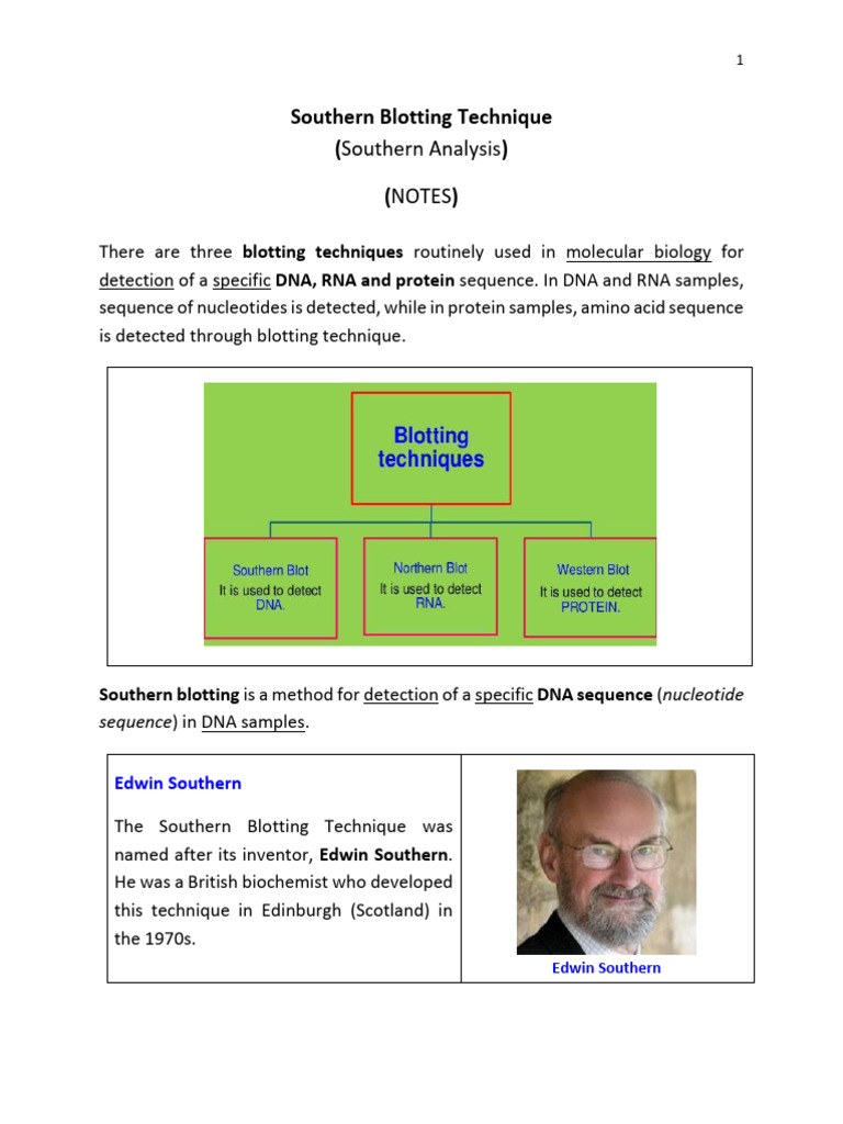 01 Southern Blotting | PDF | Northern Blot | Southern Blot