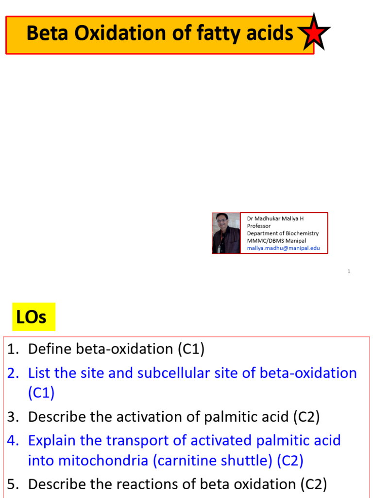 Energetics of Palmitic Acid Oxidation | PDF | Mitochondrion | Molecular ...