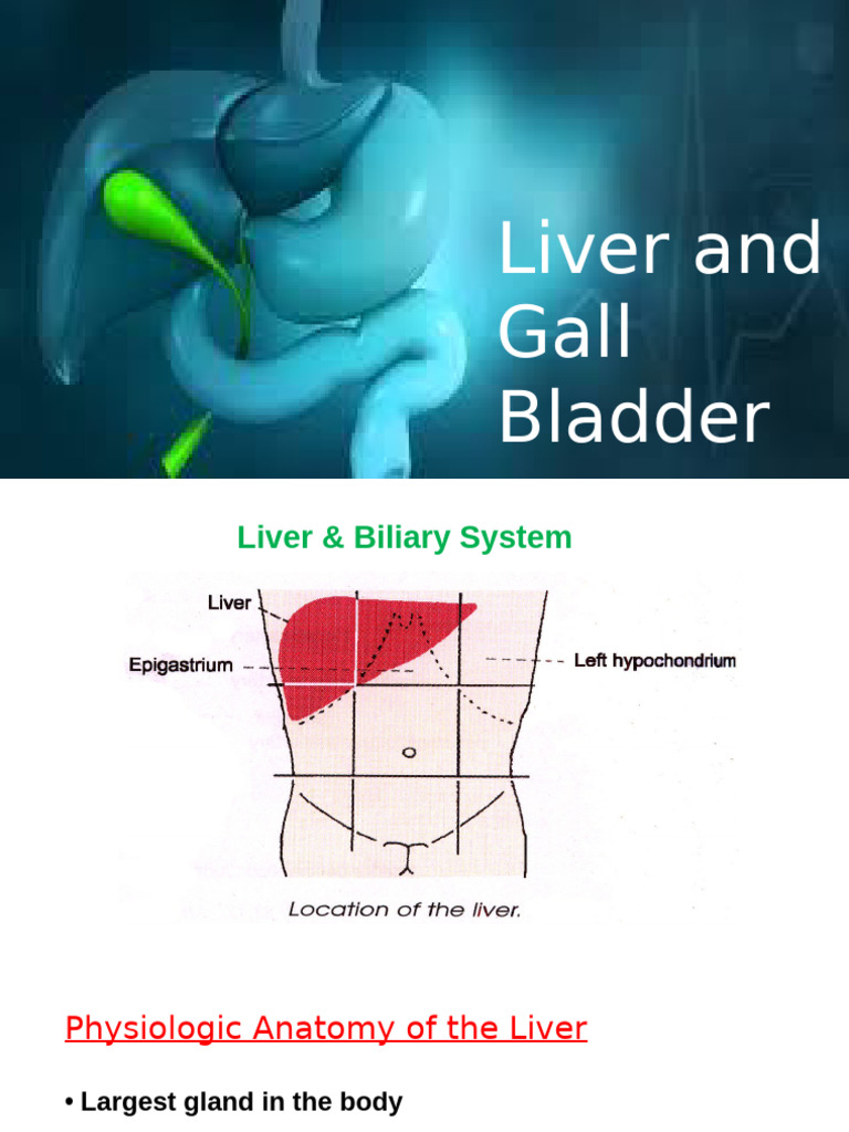 Understanding Bile and Its Functions | PDF | Liver | Biochemistry