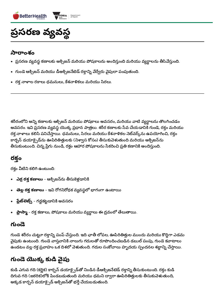 Circulatory System - Better Health Channel | PDF
