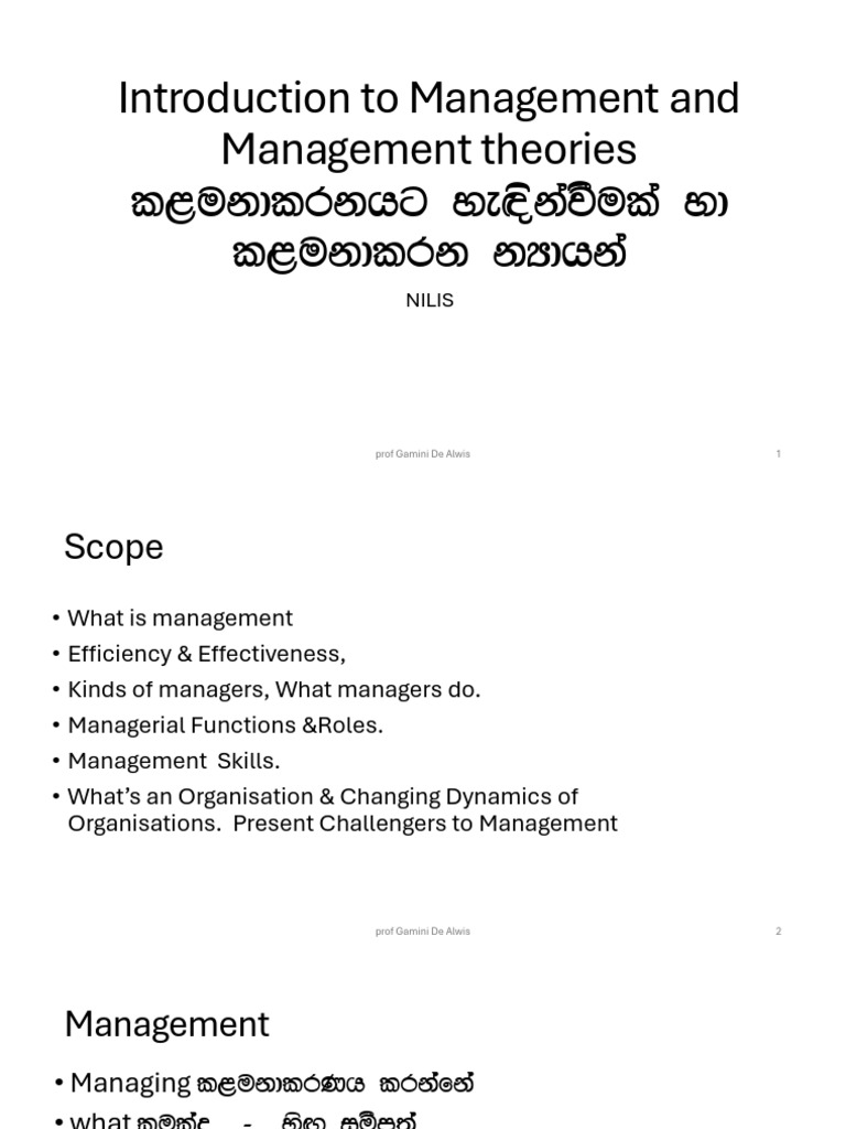 Management Theories | PDF
