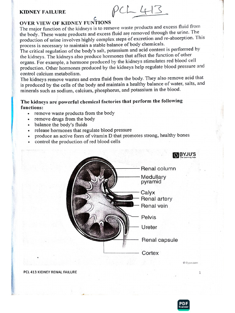 Kidney Failure - Dr. Dan (Nuel's) | PDF
