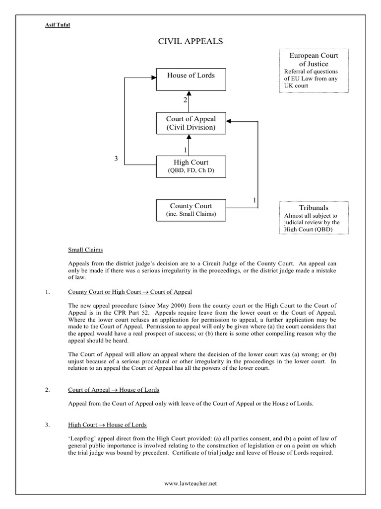 Appeals Process for Circuit Court | PDF