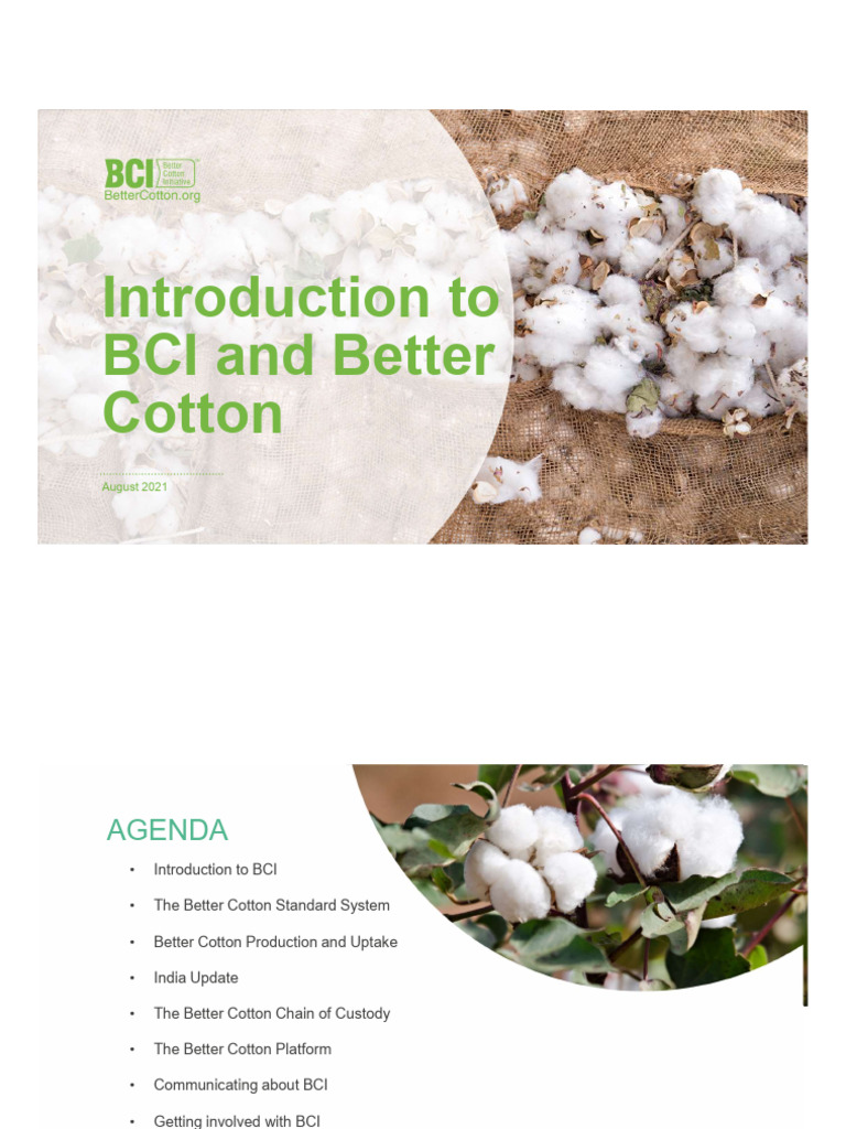 BCI Introduction Procedure | PDF | Supply Chain | Cotton