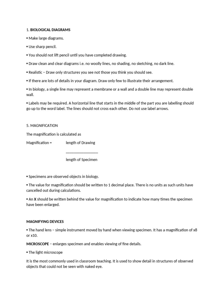 Notes Biological Drawings, Microscope Use | PDF