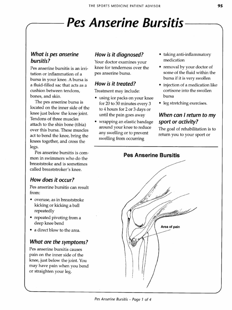 143 - Pes Bursitis | PDF
