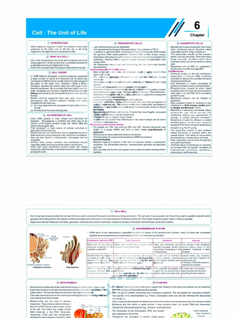 Cell The Unit of Life | PDF