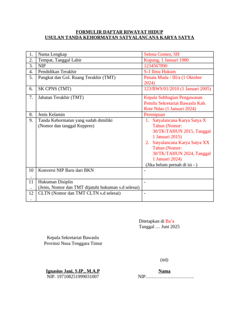 Contoh - Format DRH Satyalancana (2025) | PDF