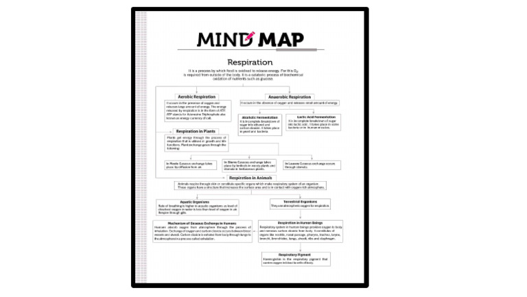 10th STD Science Mind Map-Cbse Eng Version 2019-20 by R Nagure-8 | PDF