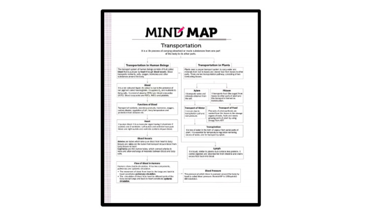 10th STD Science Mind Map-Cbse Eng Version 2019-20 by R Nagure-9 | PDF