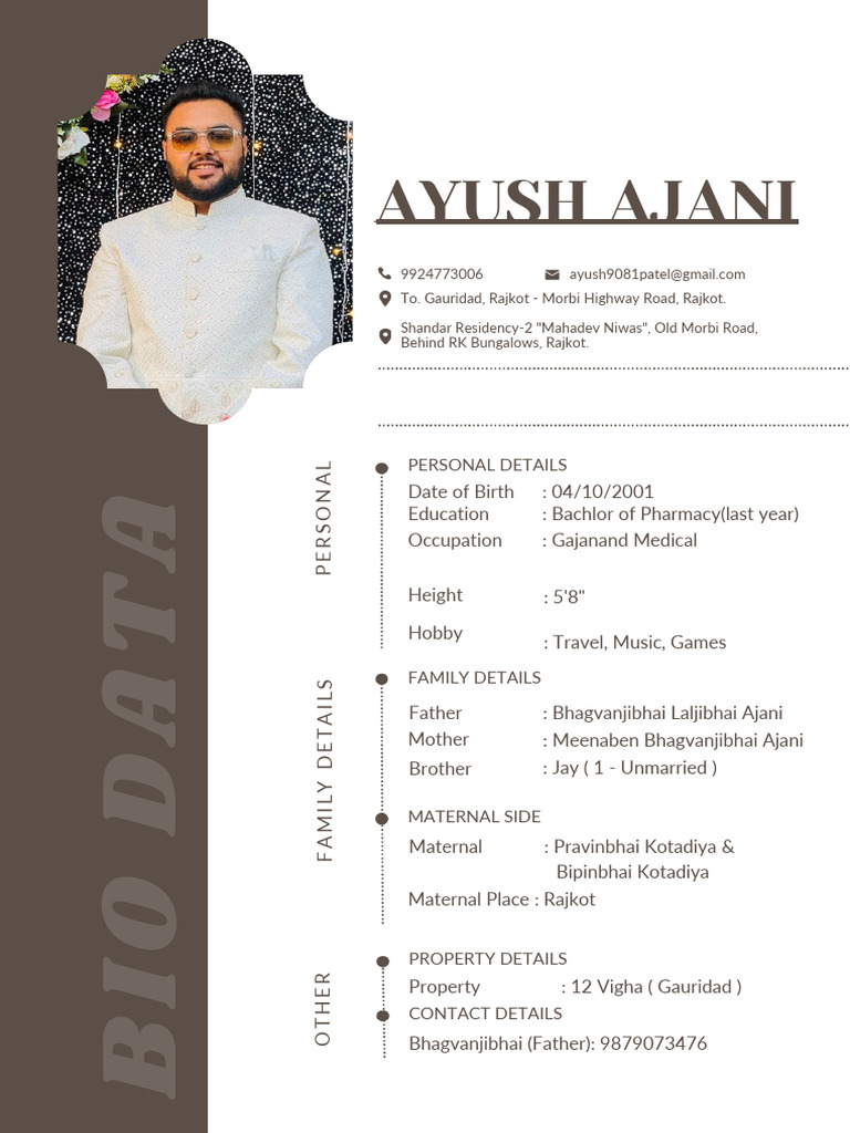 Biodata Ayush Ajani PDF | PDF