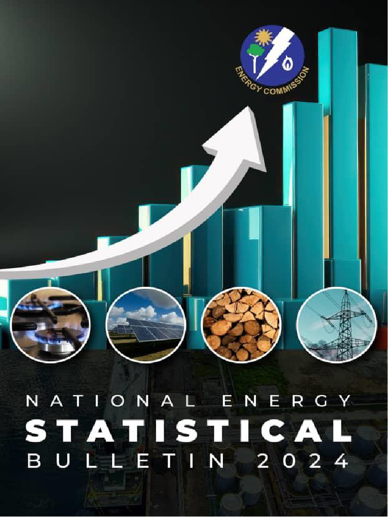2024 Ghana National Energy Statistics | PDF | Barrel (Unit) | Petroleum