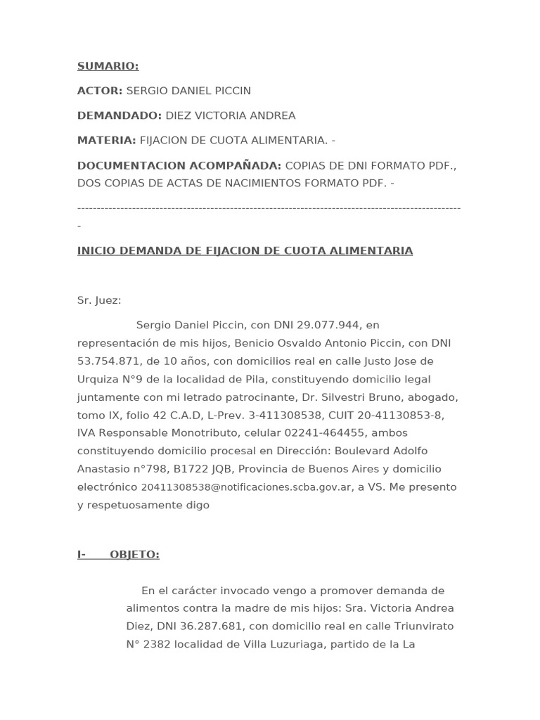 Demanda Alimentos Piccin | PDF