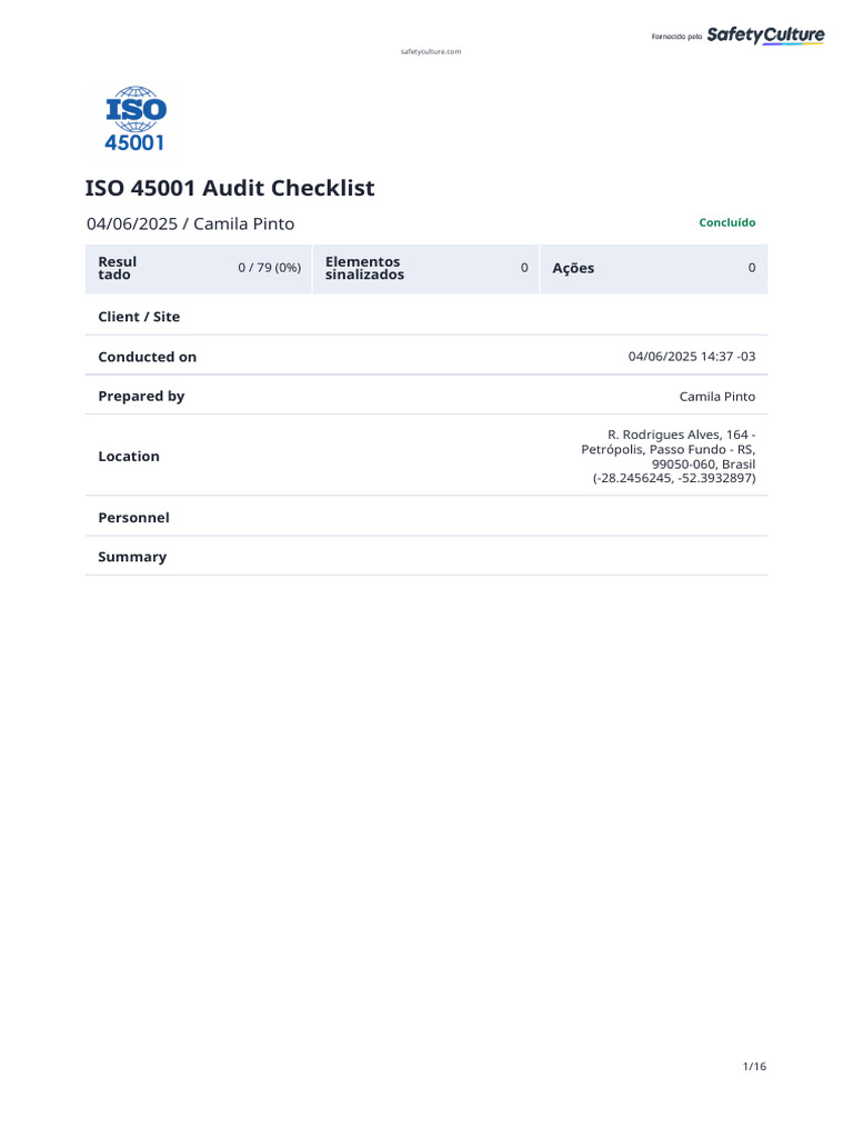 04 06 2025 Camila Pinto | PDF | Audit | Risk