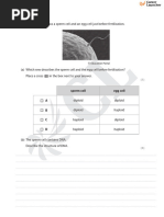 PrimeSTAR GXL DNA Polymerase Manual | PDF | Polymerase Chain Reaction ...