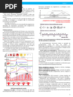 Perola Bula Paciente | PDF | Pílula anticoncepcional | Gravidez