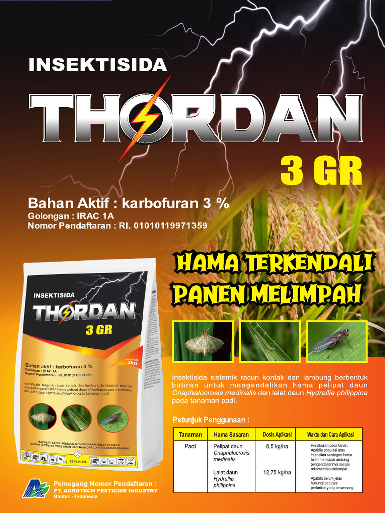 Brosur Thordan 3 GR | PDF