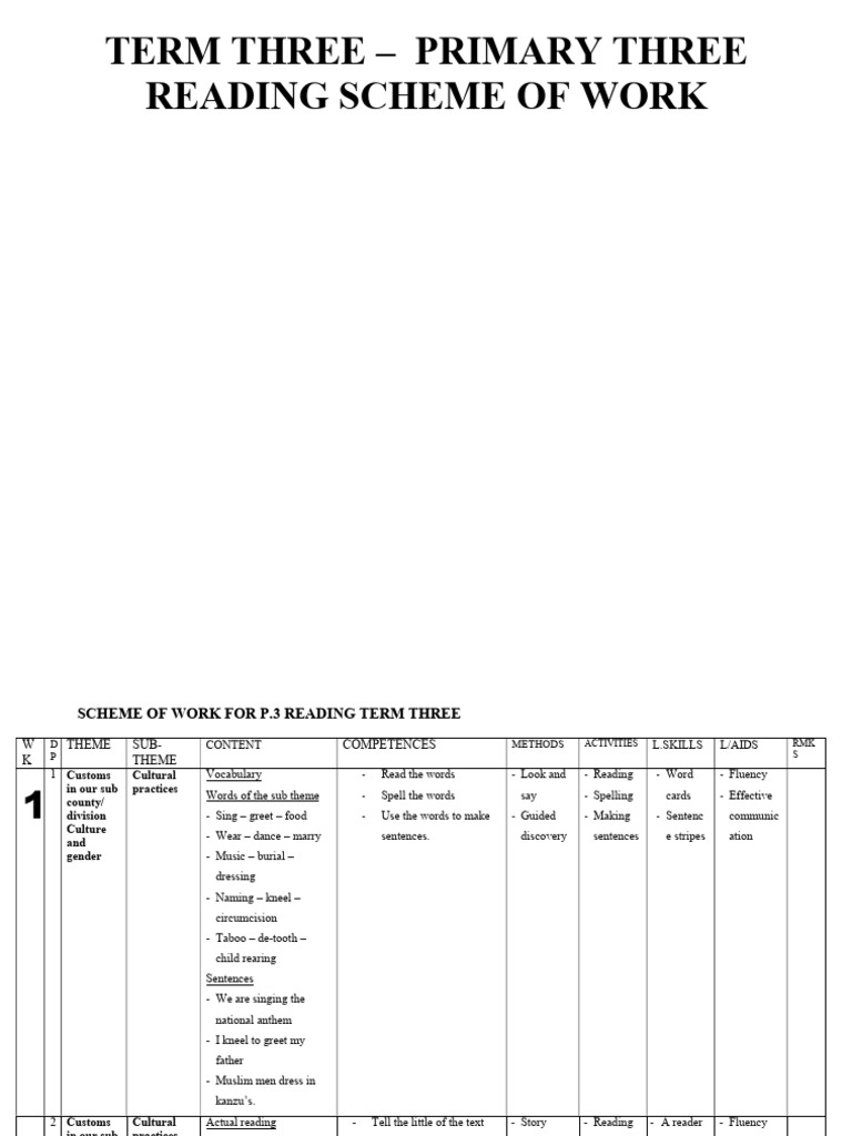 P3 Term 3 Reading Scheme Overview | PDF
