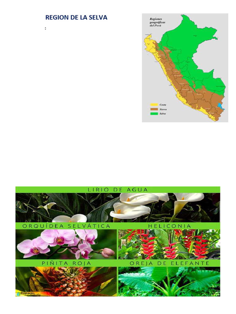 Flora y Fauna de la Selva Peruana | PDF