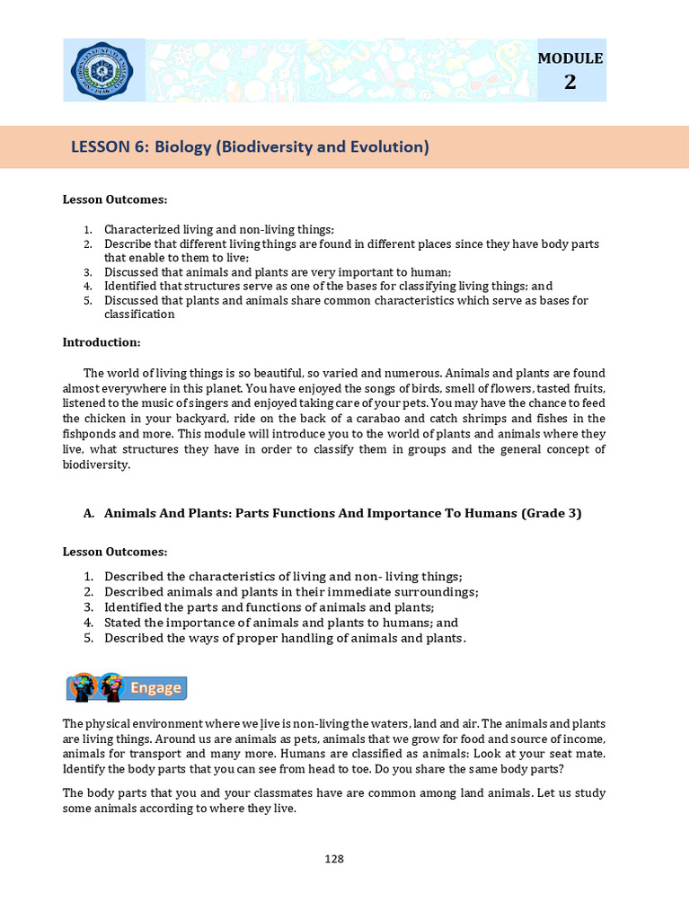 6 - Teaching Science - Module 2 - Lesson 6 | PDF | Leaf | Fruit