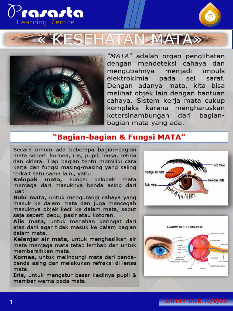 Cara Menjaga Kesehatan Mata | PDF