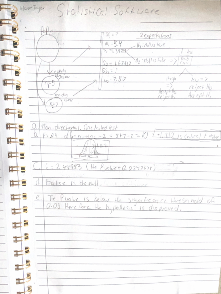 Statistical Software Assignment | PDF