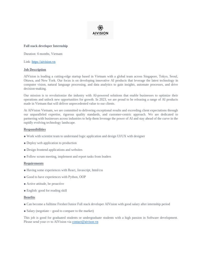 (AIVision) Fullstack Developer | PDF